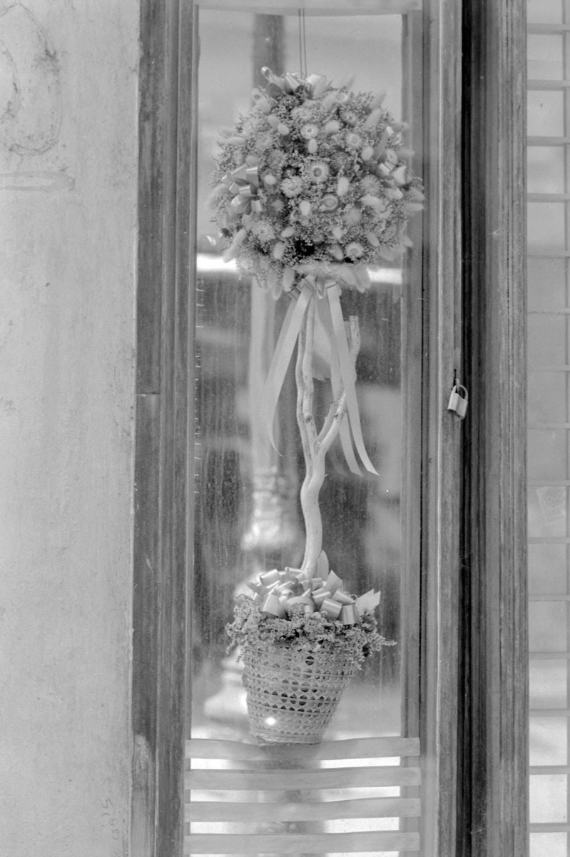 Alfa Castaldi • Typology • Shopwindows